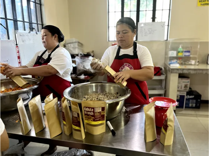 Livelihood Restoration, Resettlement and Strategic Programs